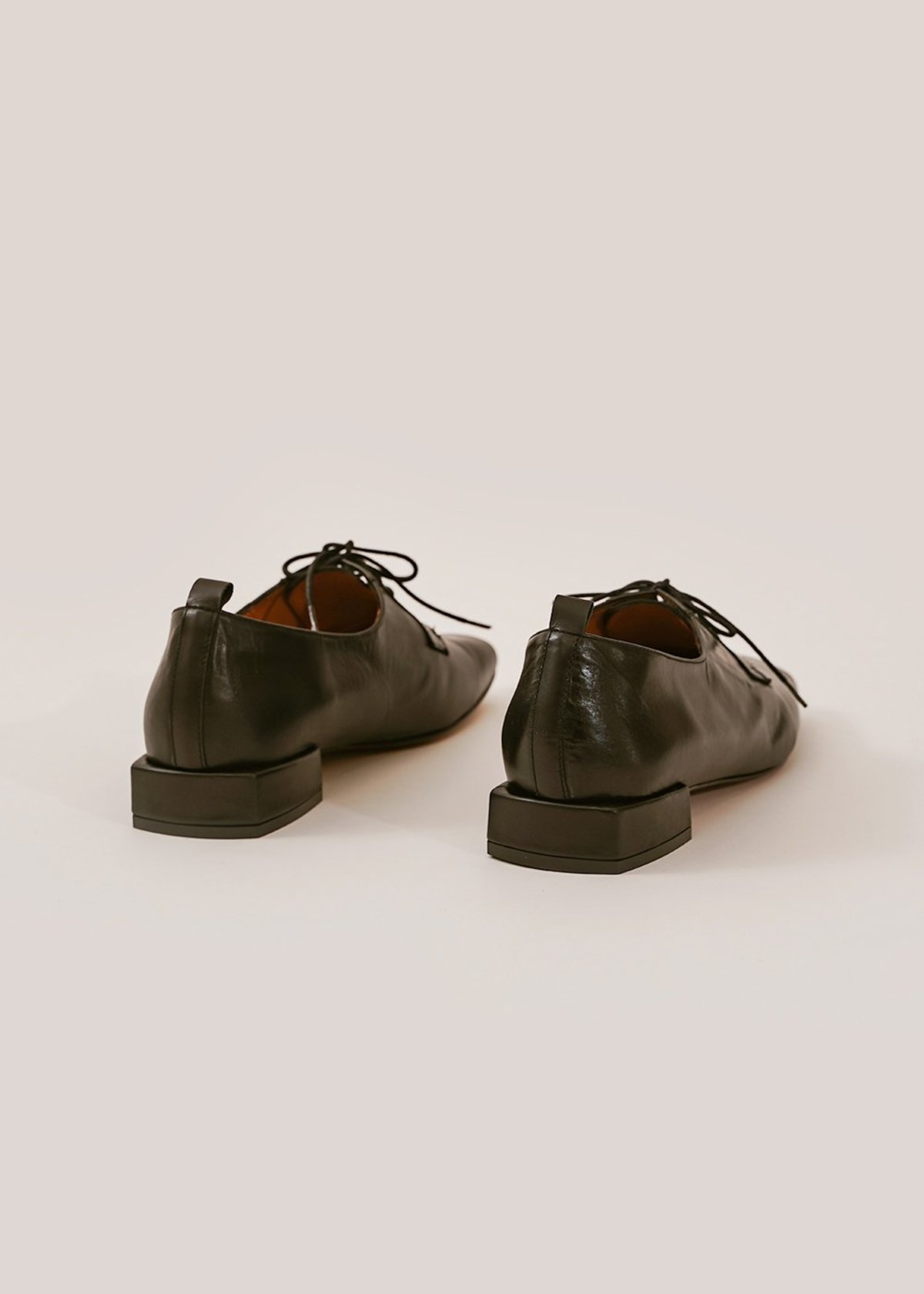 About Arianne The Joseph Shoe - Black | Garmentory