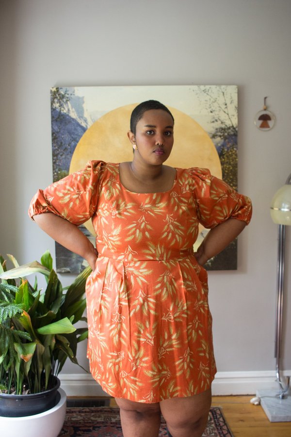 Birds of North America Courian Dress - Autumn Wheat | Garmentory