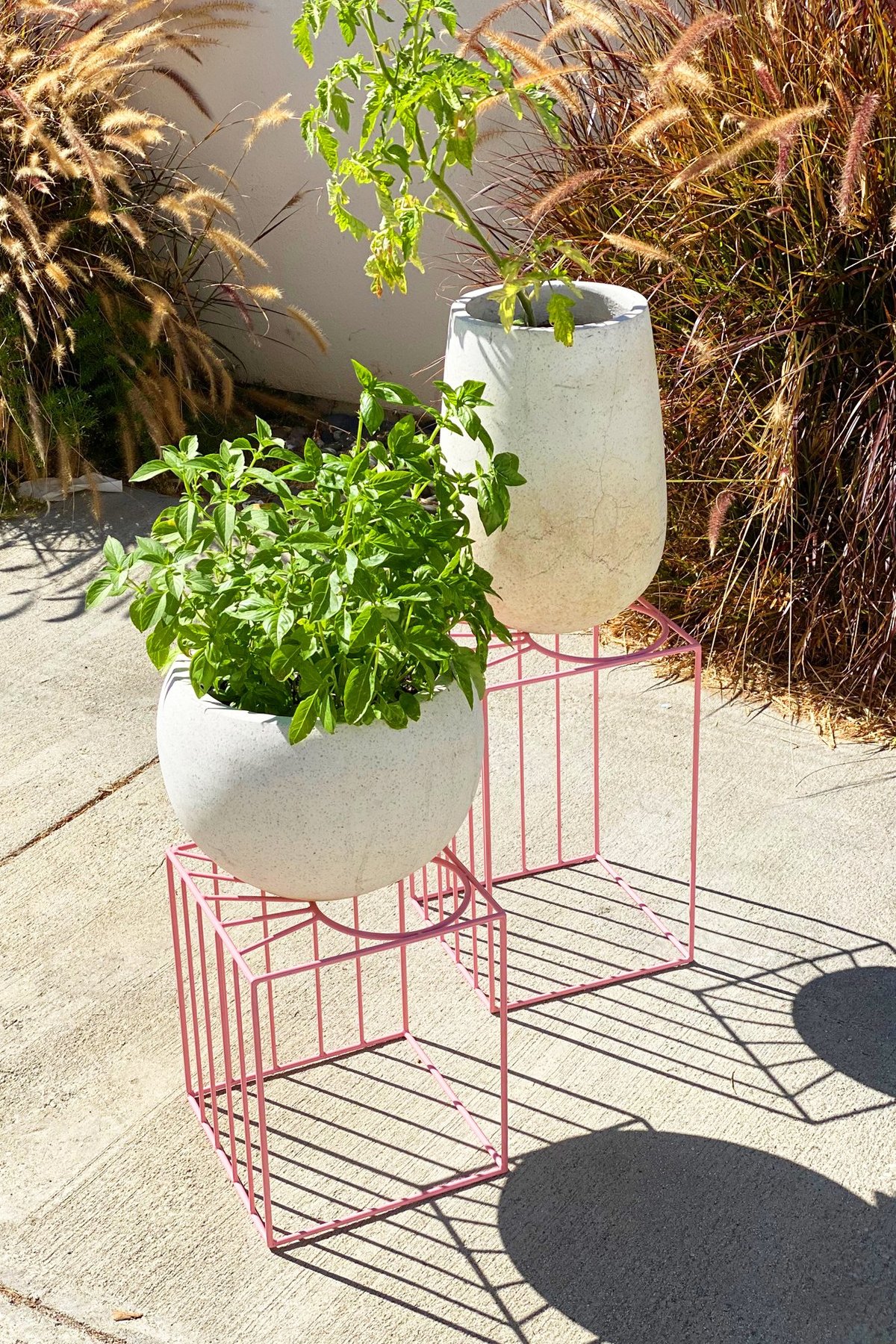 Boonies Sunbeam Plant Stands - PINK | Garmentory