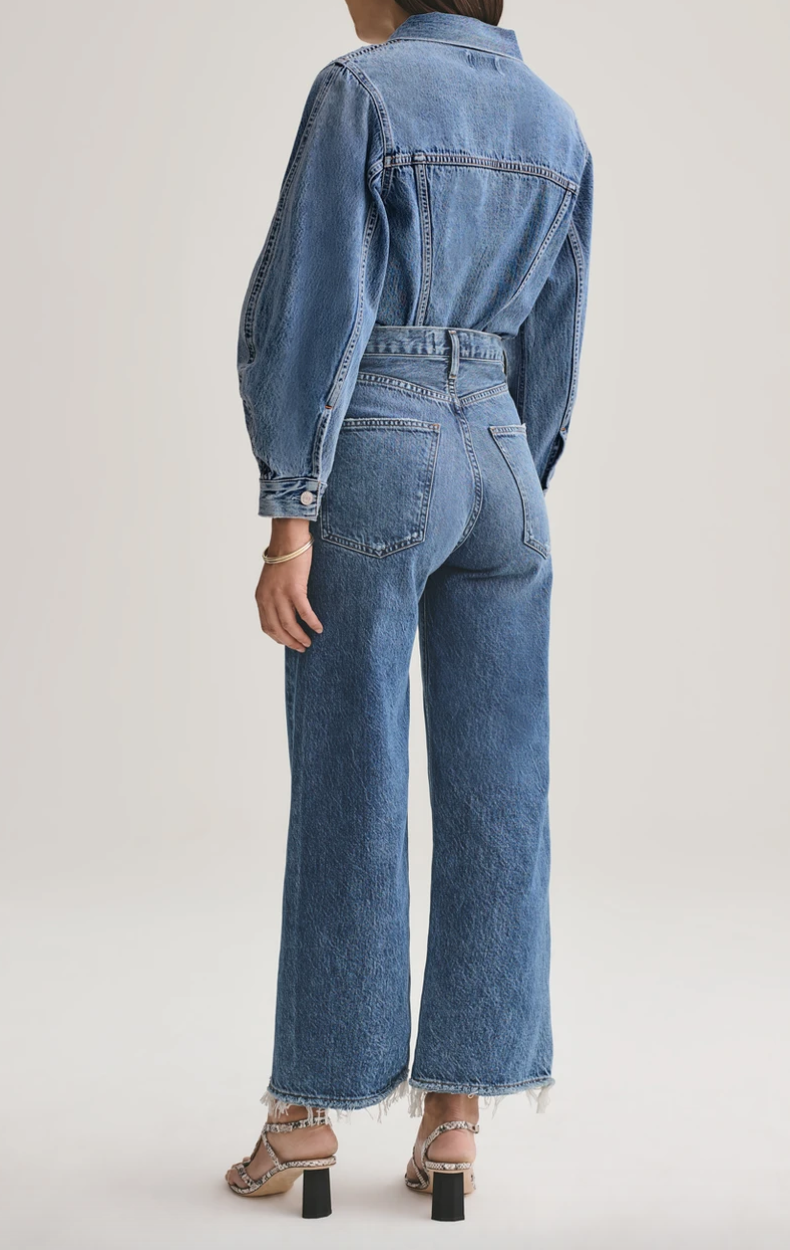 Agolde Ren Wide Leg High Rise Jean | Garmentory