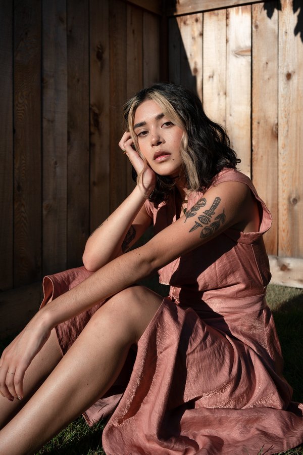 Altar Houseline Francis Dress - Rose Gold | Garmentory