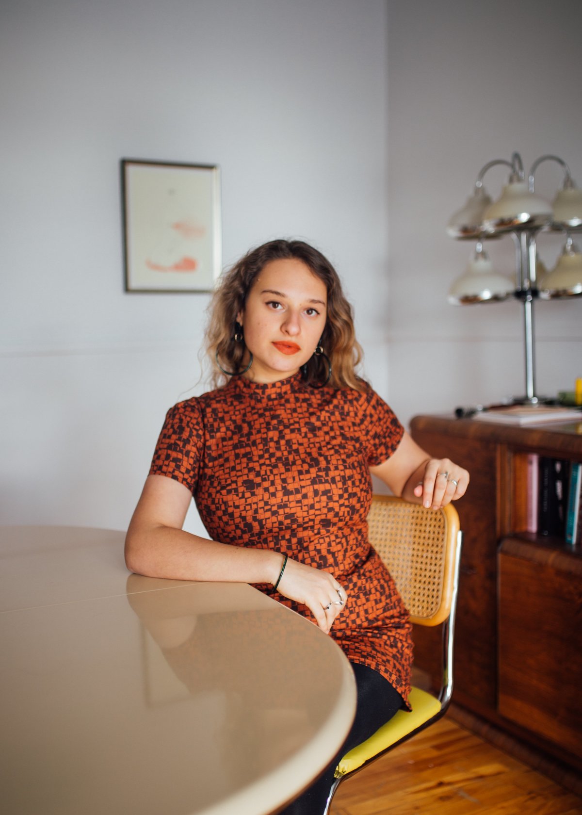 Birds of North America Spadebill Dress - Burnt Kubota | Garmentory