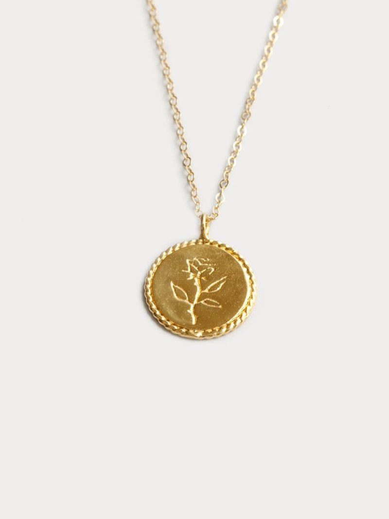 Wolf Circus Rose Coin Necklace - 14k Gold plated/bronze/gold filled ...