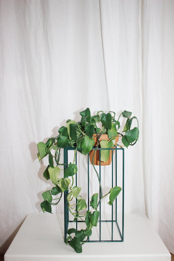 Boonies sunbeam plantstand - dark green | Garmentory