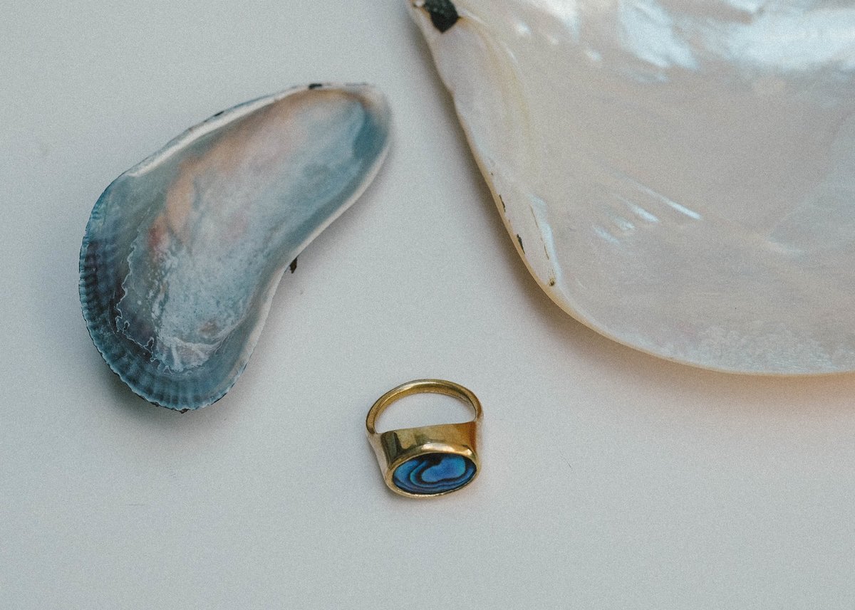 Luiny Abalone Ring | Garmentory