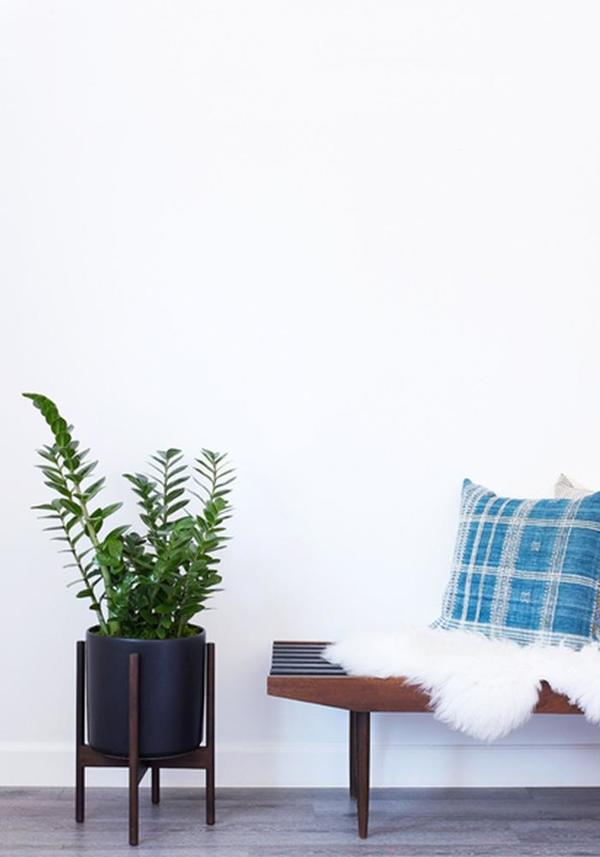 Ten Cylinder Planter in WHITE or BLACK | Garmentory