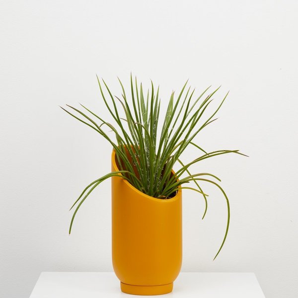 Capra Designs: Small Summit Planter in Golden | Garmentory