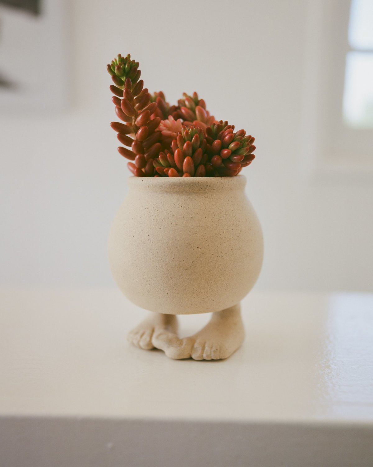 General Admission Foot Planter - Cream | Garmentory