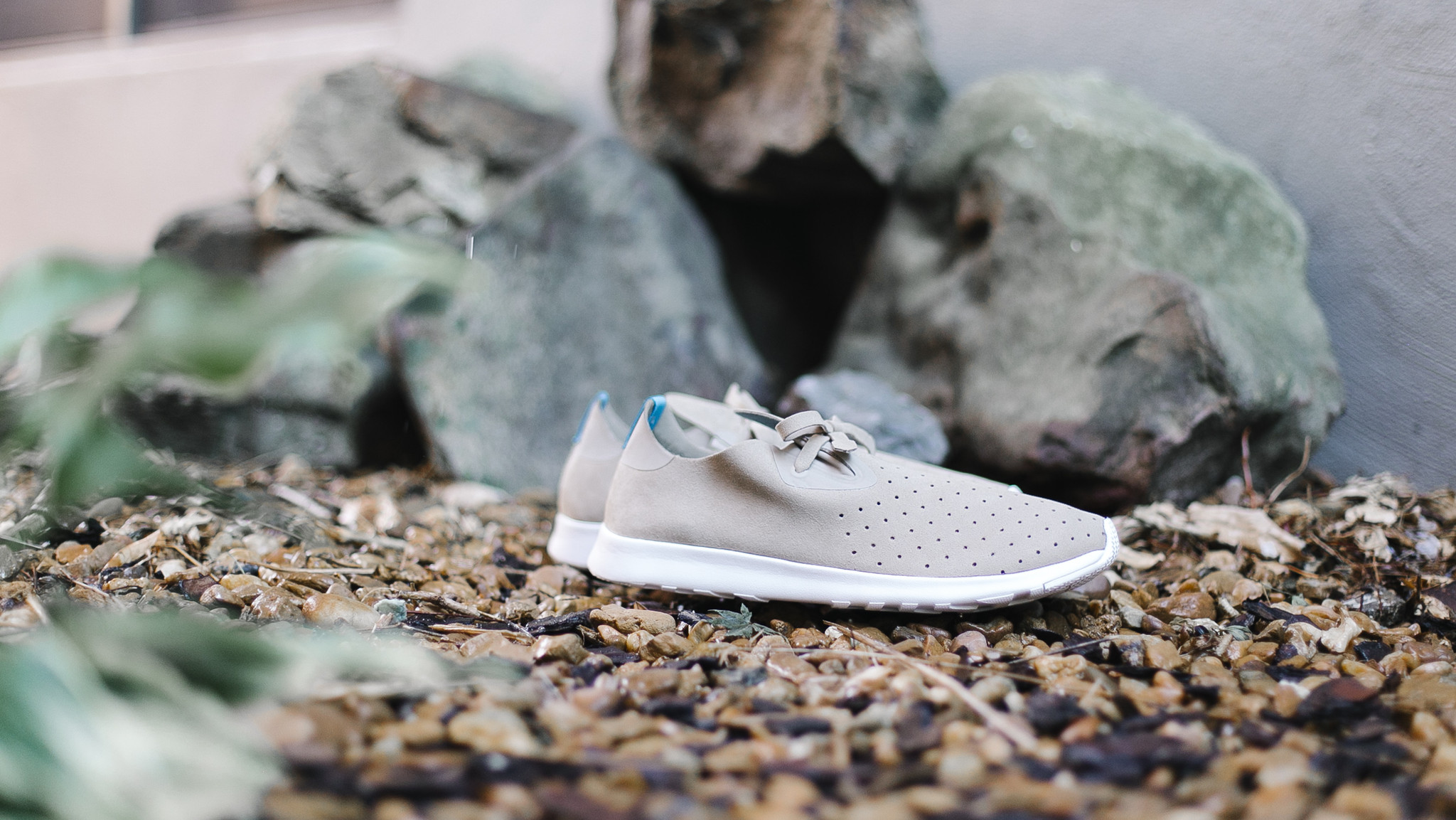 Native Shoes Apollo Moc (Rocky Brown/Shell White) | Garmentory