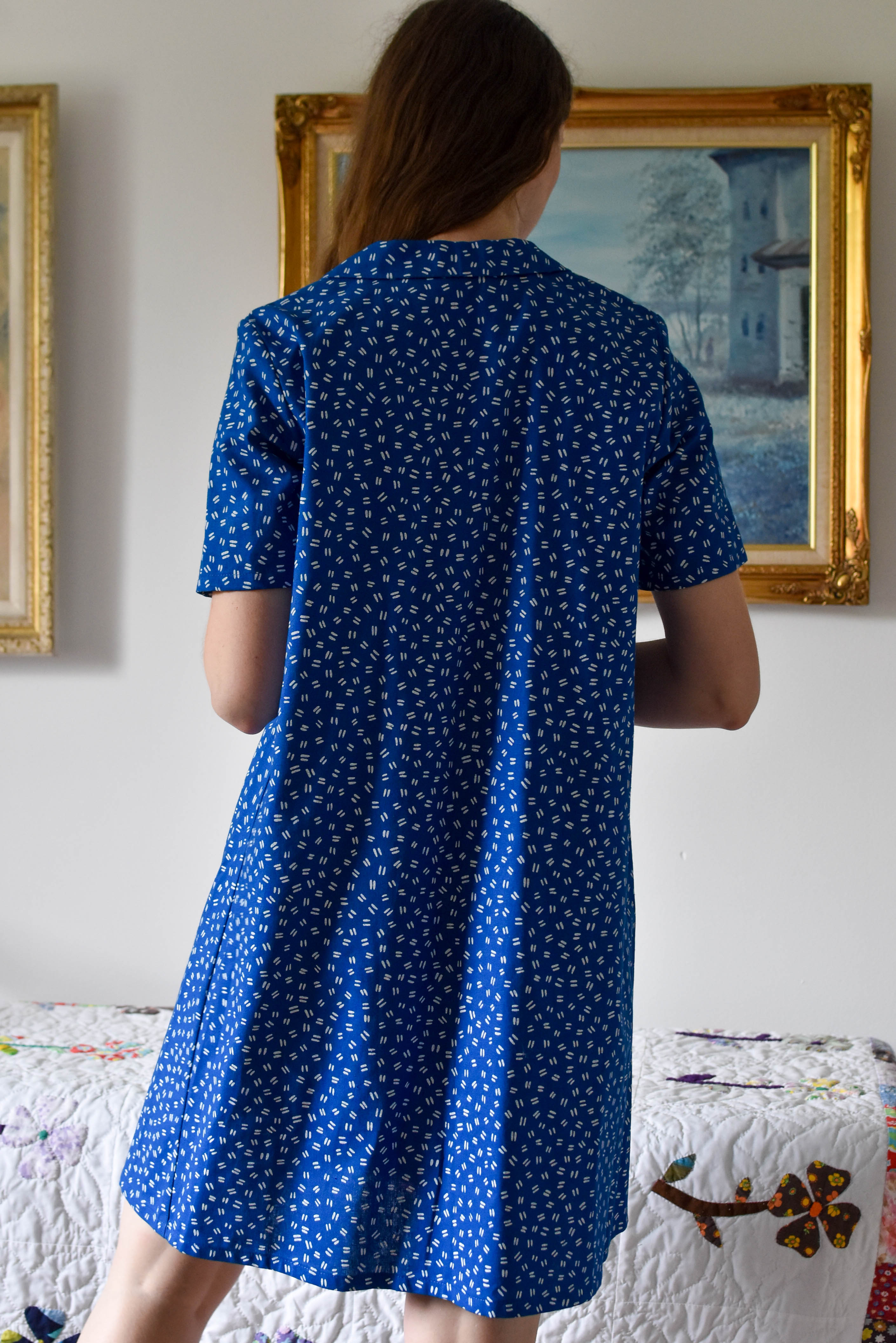 Birds of North America Joree Dress (Blue Hatch)-BLUE | Garmentory