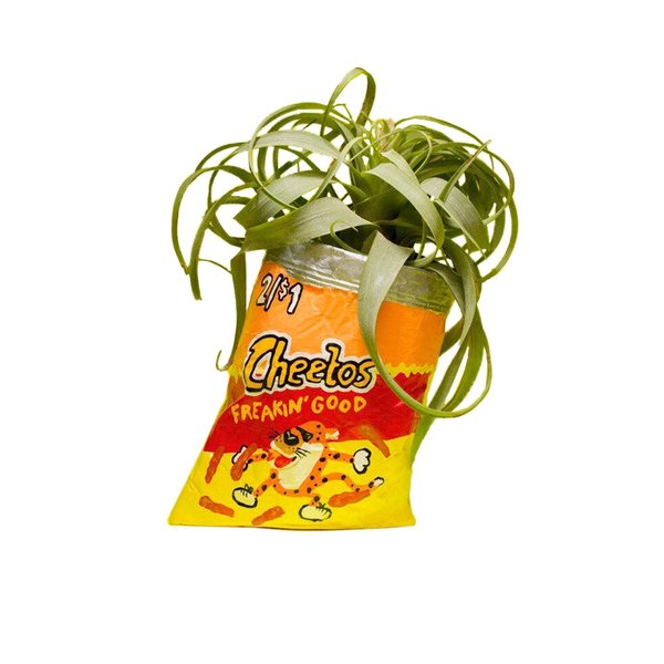 CHEETOS PLANTER | Garmentory