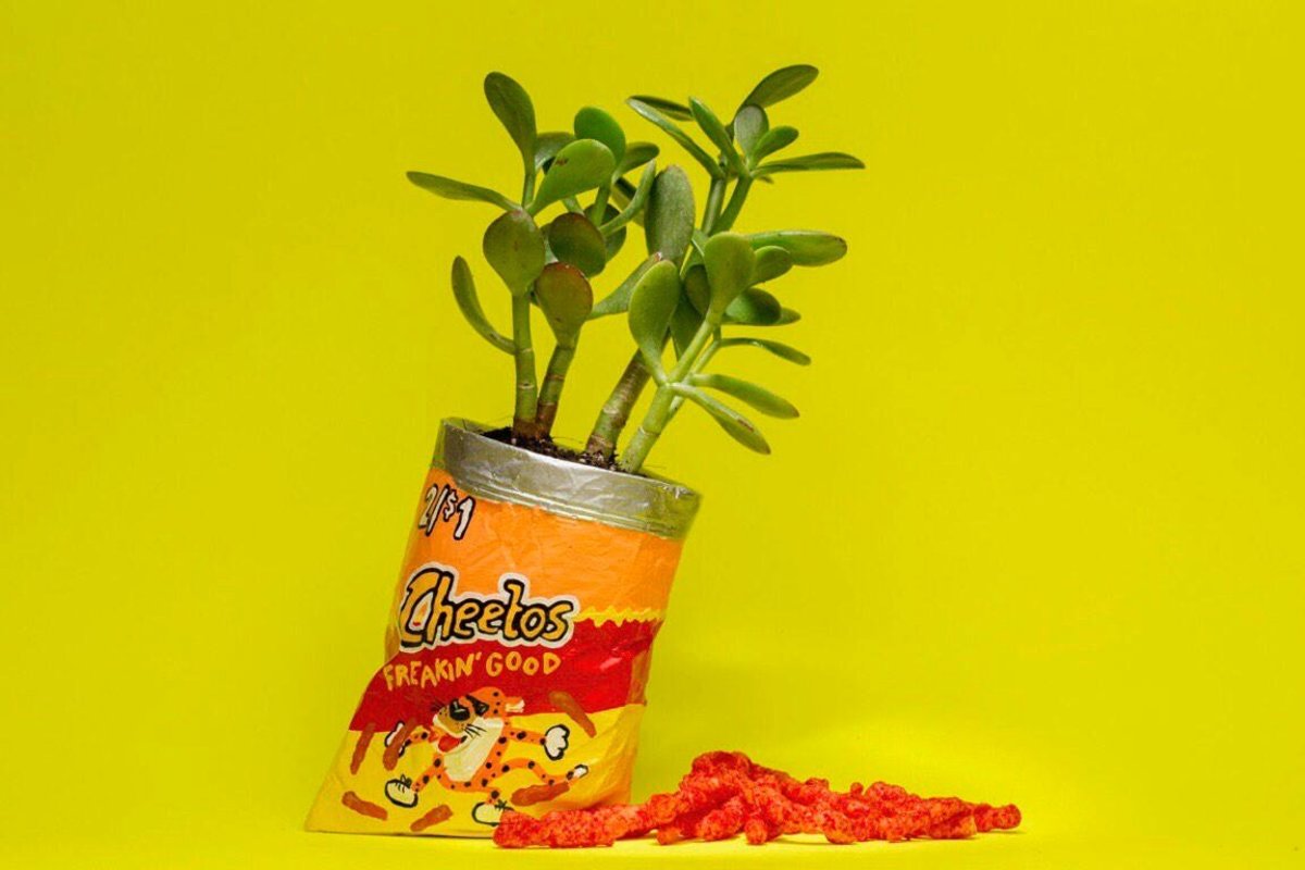 CHEETOS PLANTER | Garmentory