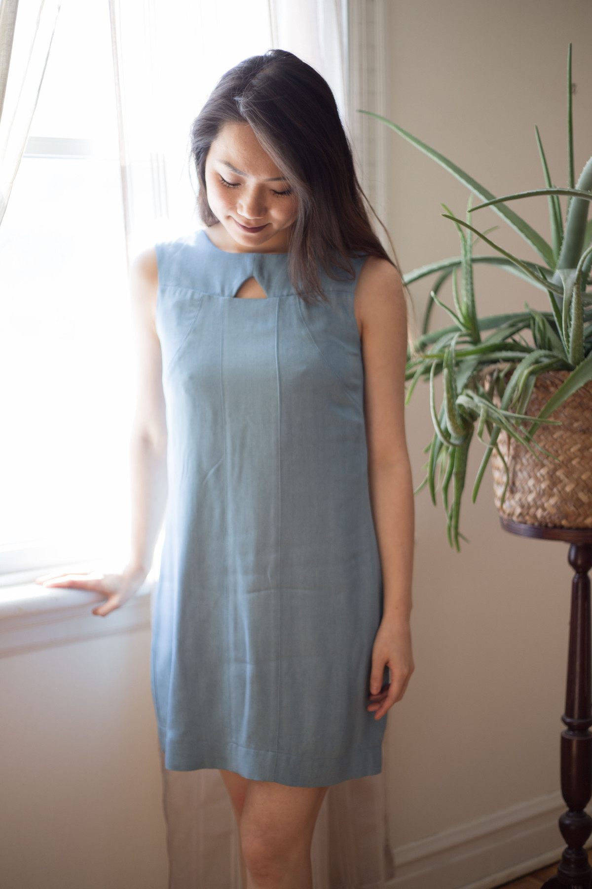 Birds of North America Crow Dress (Faded Denim) | Garmentory