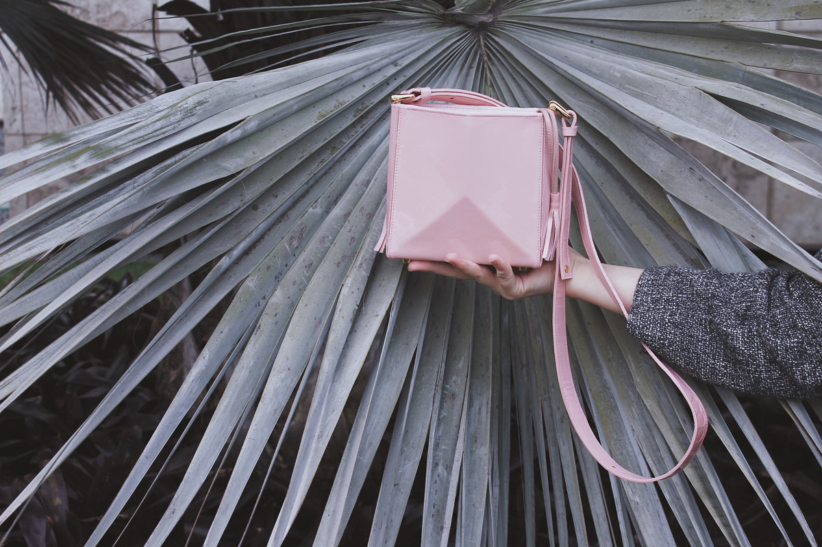 The Common Knowledge Mini Bone Bag - Glossy Rose | Garmentory