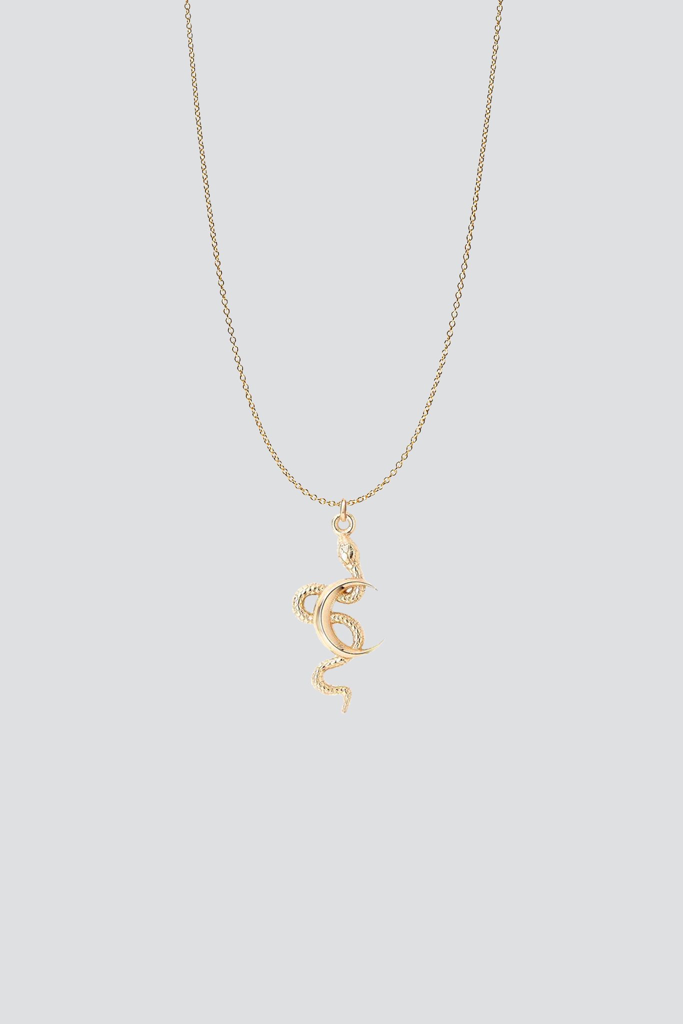 Talon Snake Moon Necklace - Gold | Garmentory