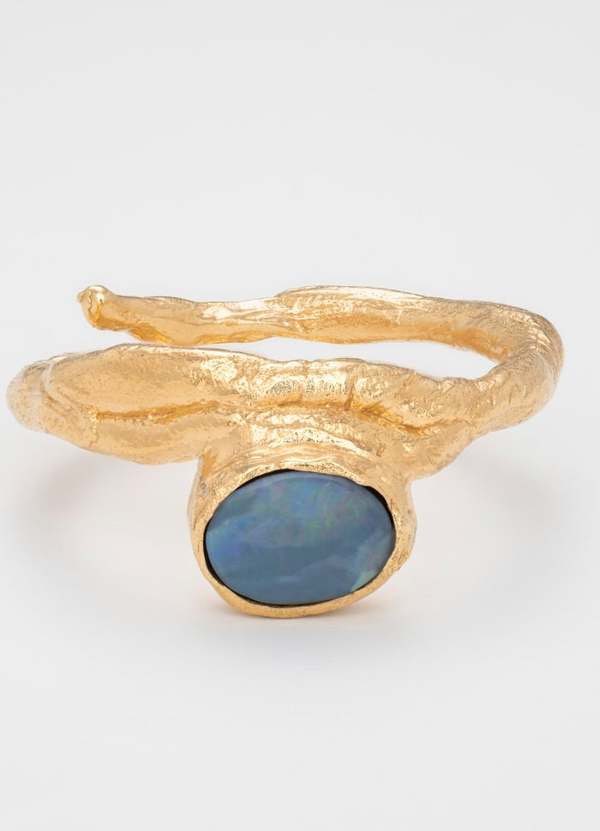 Bjorg Mystery of the North RING | Garmentory