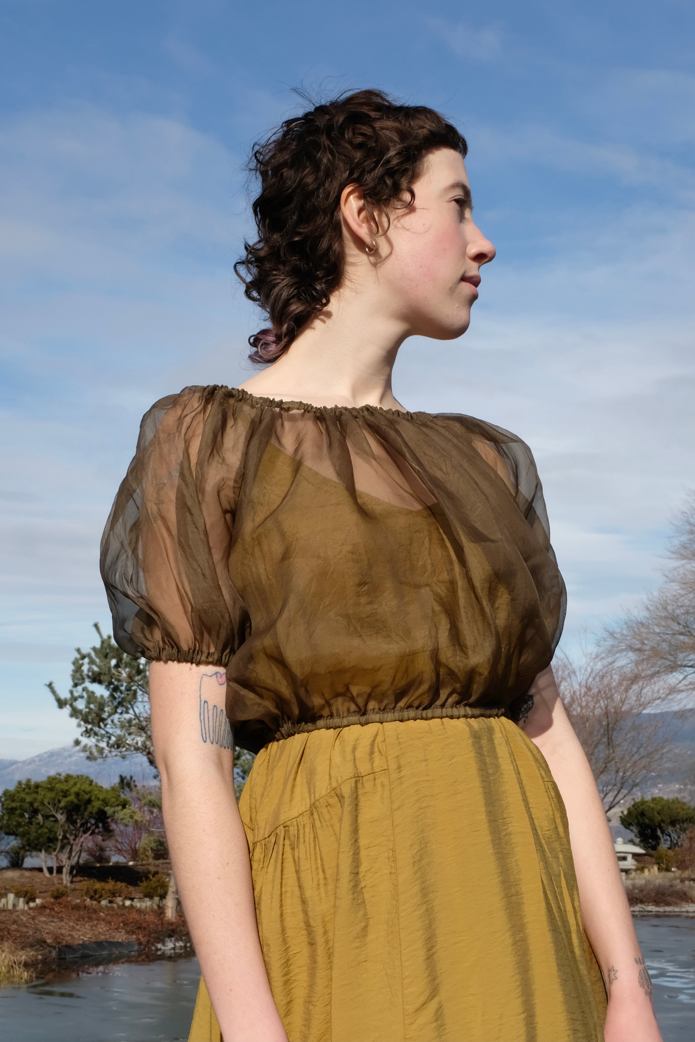 Miranda Bennett Carlisle Silk Organza Top - Pericón/Iron | Garmentory