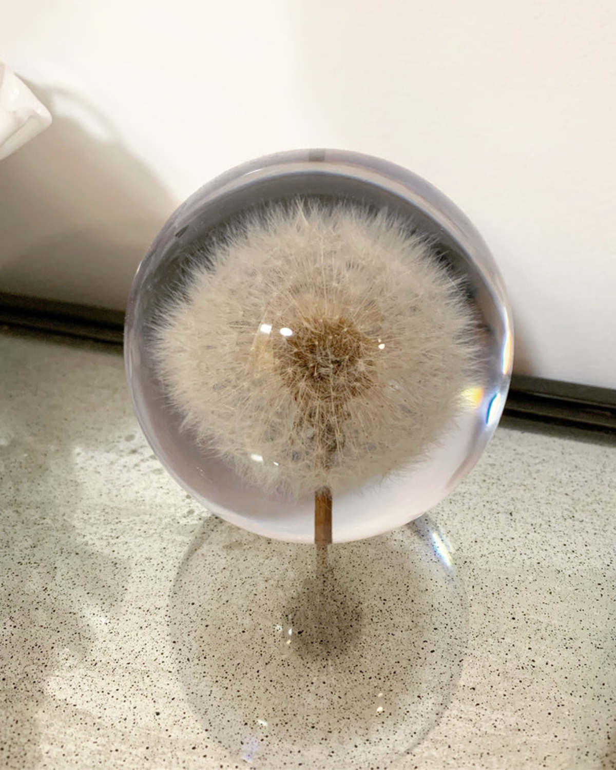 Dauphinette Dandelion Crystal | Garmentory