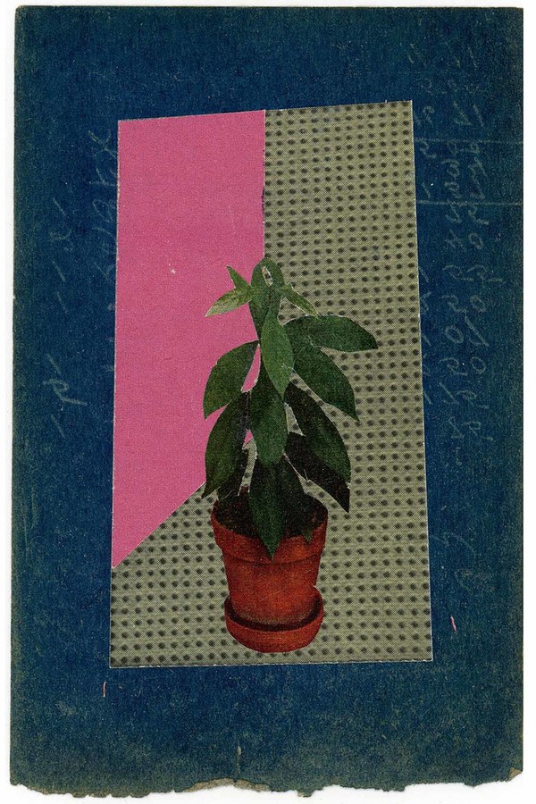 Kirkland Bray Kirk Bray Potted Perfection 2019 art | Garmentory