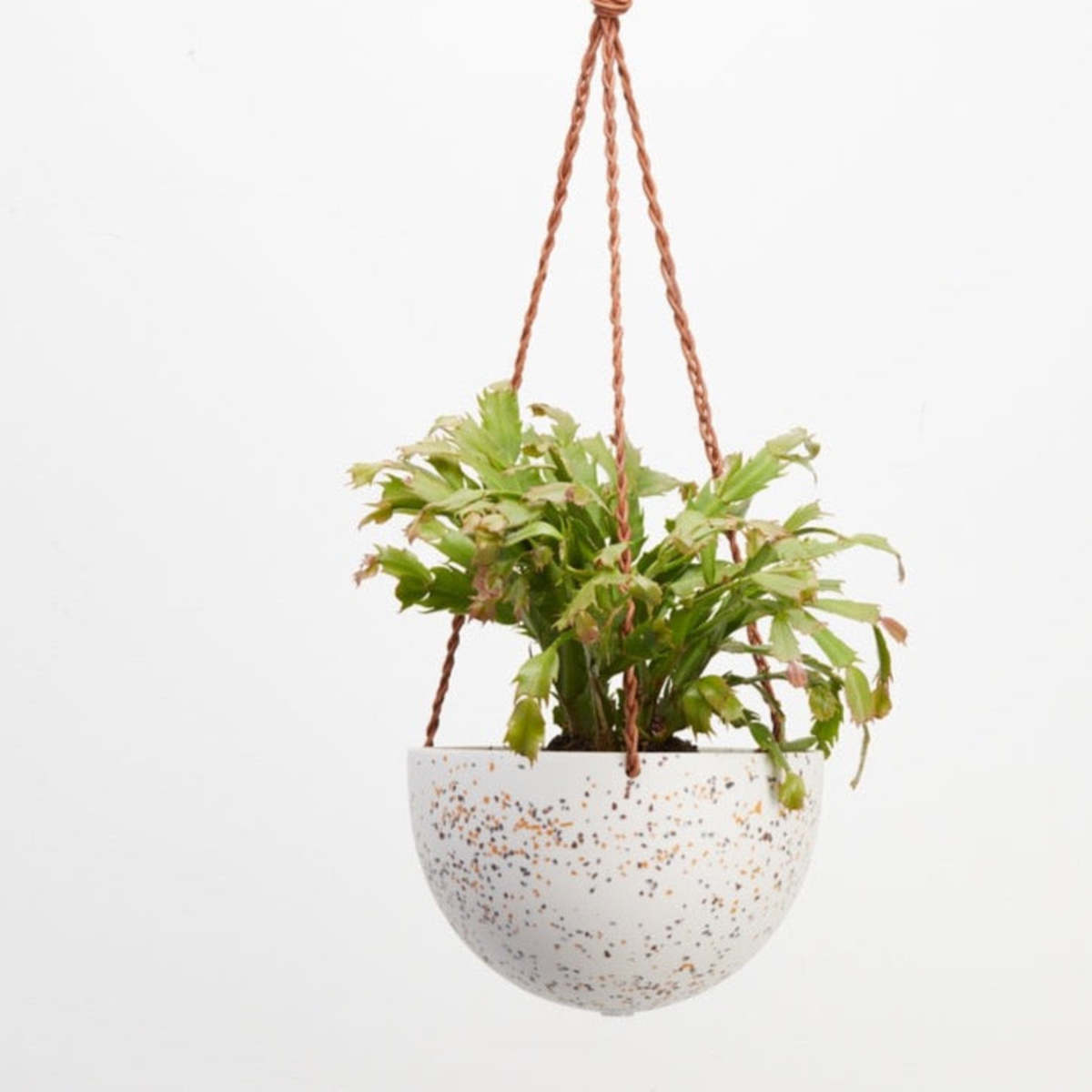 Capra Designs Dome Hanging Planter - White Terrazzo | Garmentory