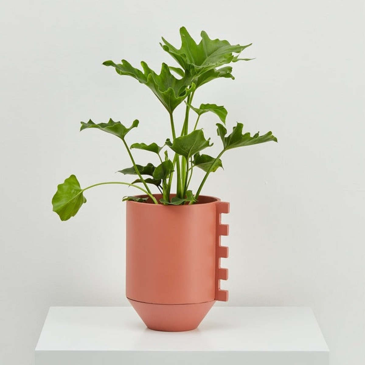 Capra Designs: Zip Feature Planter - Dusty Rose | Garmentory