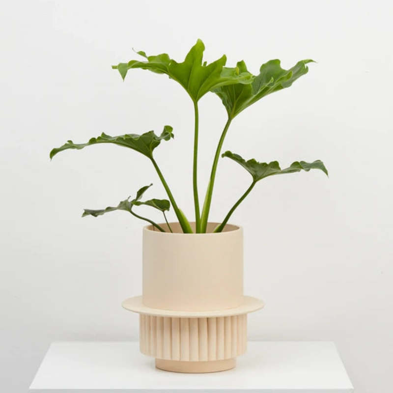 Capra Designs Roma Planter - Fossil | Garmentory