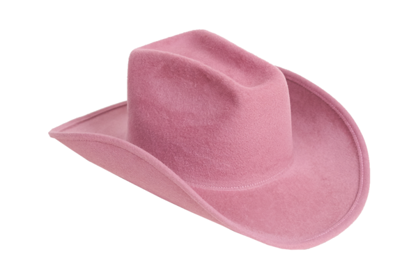 Clyde Cowboy Hat in Rose Angora | Garmentory