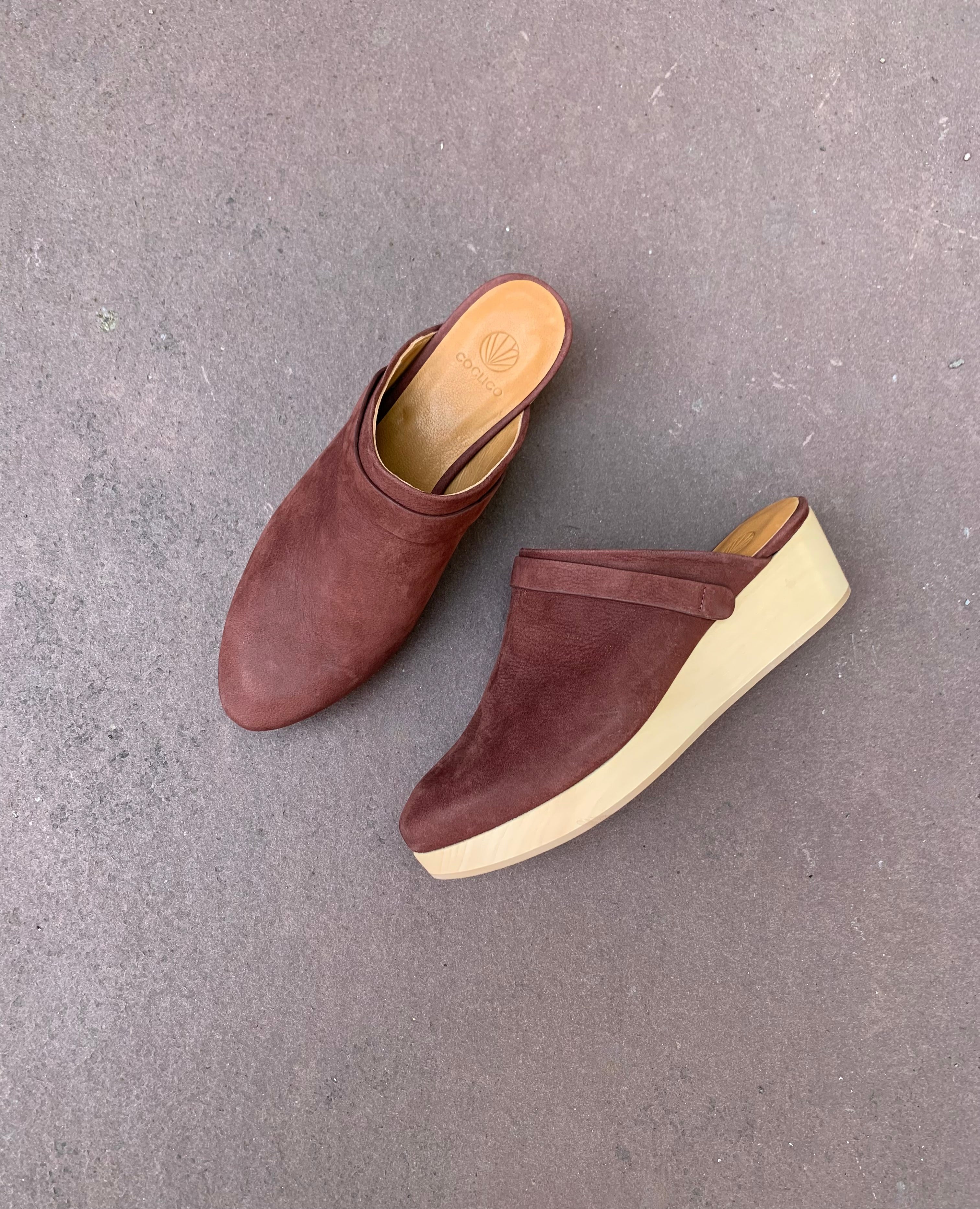 Coclico Milk Clog - Britanic | Garmentory