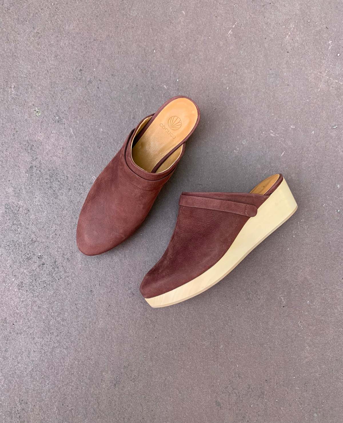 Coclico Milk Clog - Britannic | Garmentory