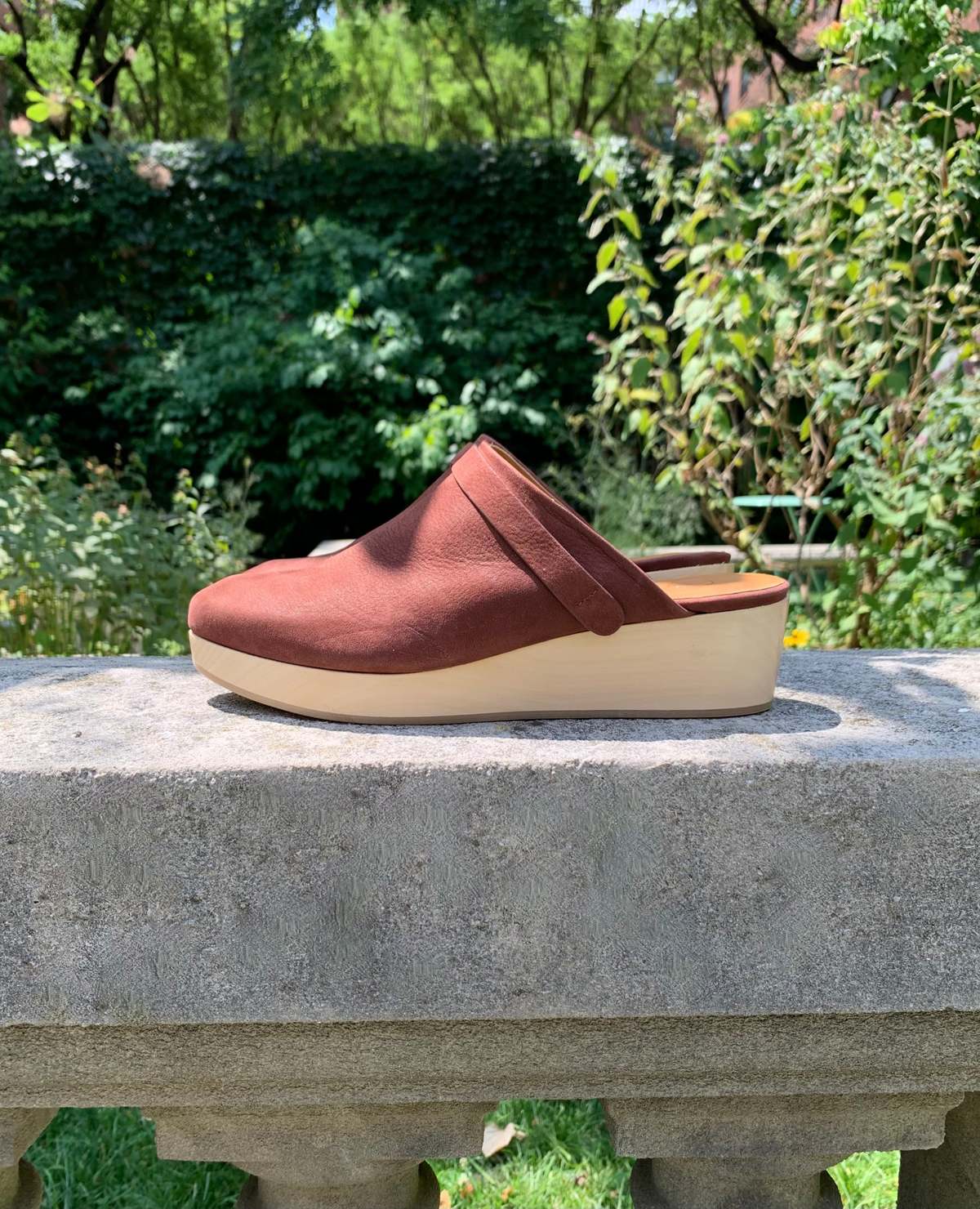 Coclico Milk Clog - Britannic | Garmentory