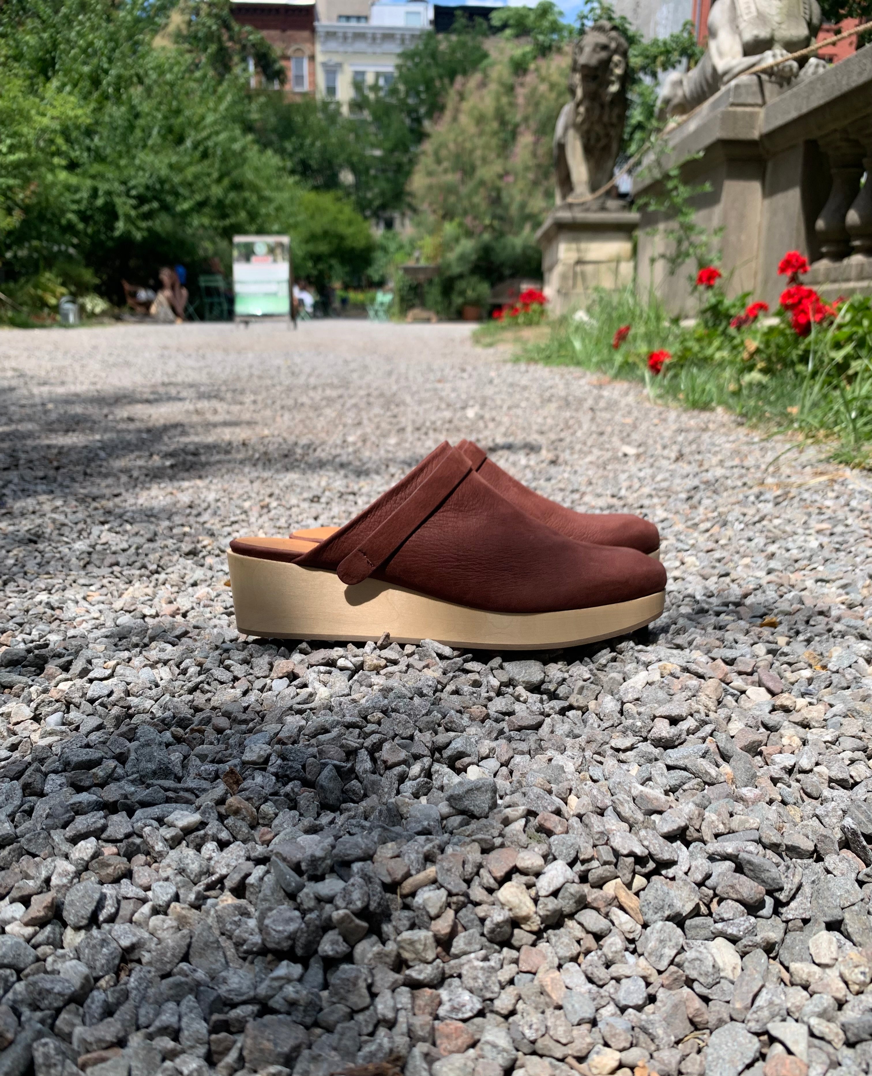 Coclico Milk Clog - Britanic | Garmentory