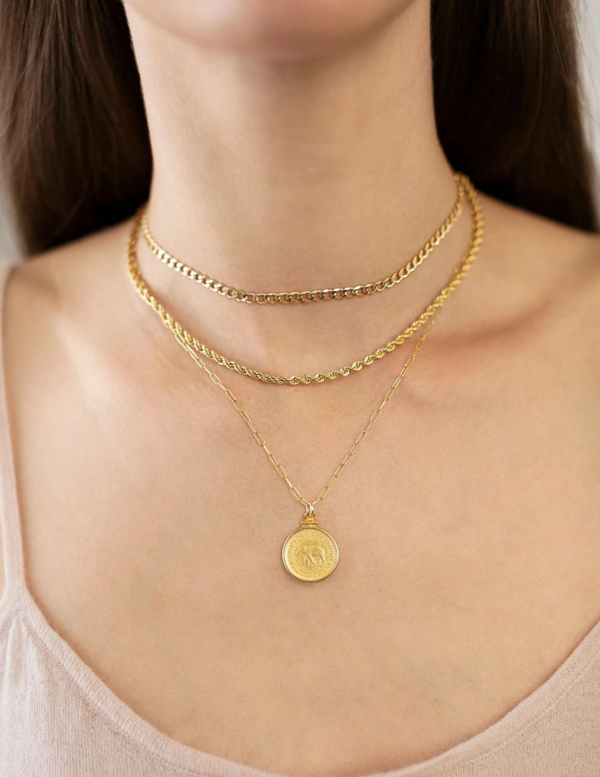 Electric Picks Babar Necklace | Garmentory