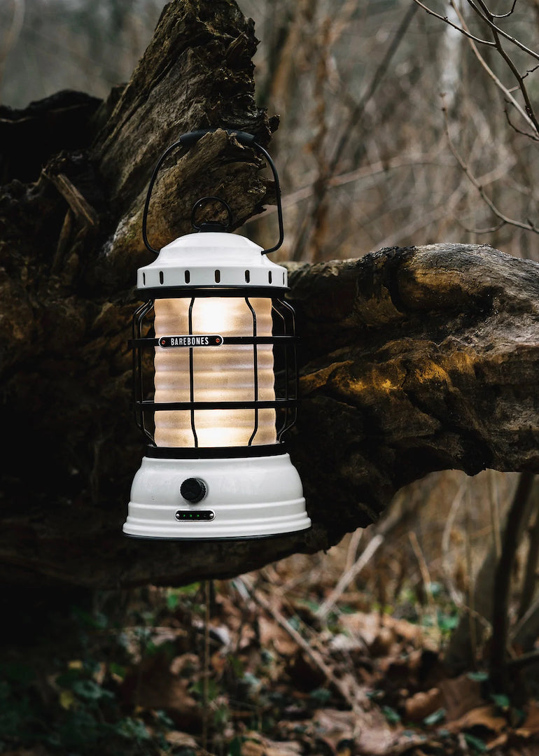 Barebones Forest Lantern - Vintage White | Garmentory
