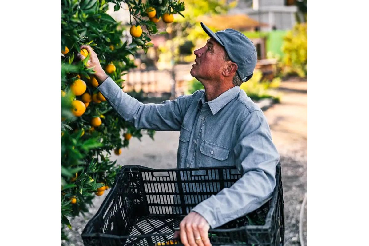Taylor Stitch Chore Shirt - Washed Indigo Boss Duck | Garmentory