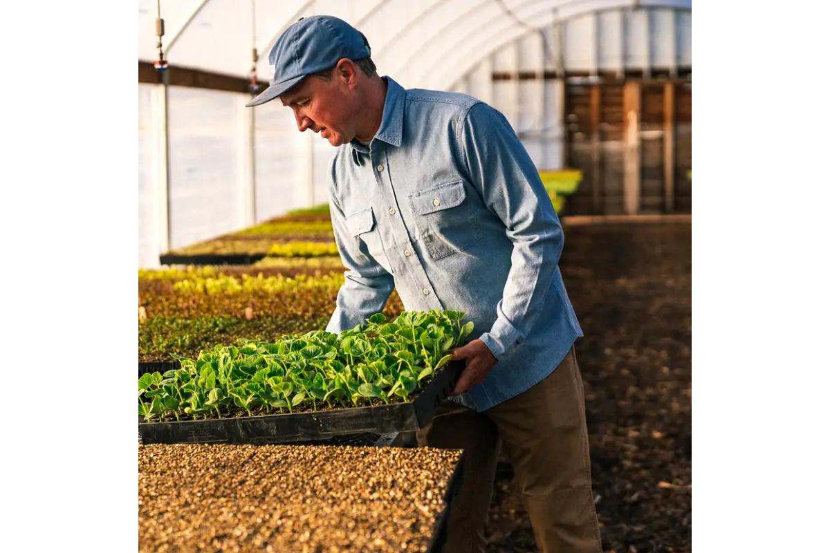 Taylor Stitch Chore Shirt - Washed Indigo Boss Duck | Garmentory