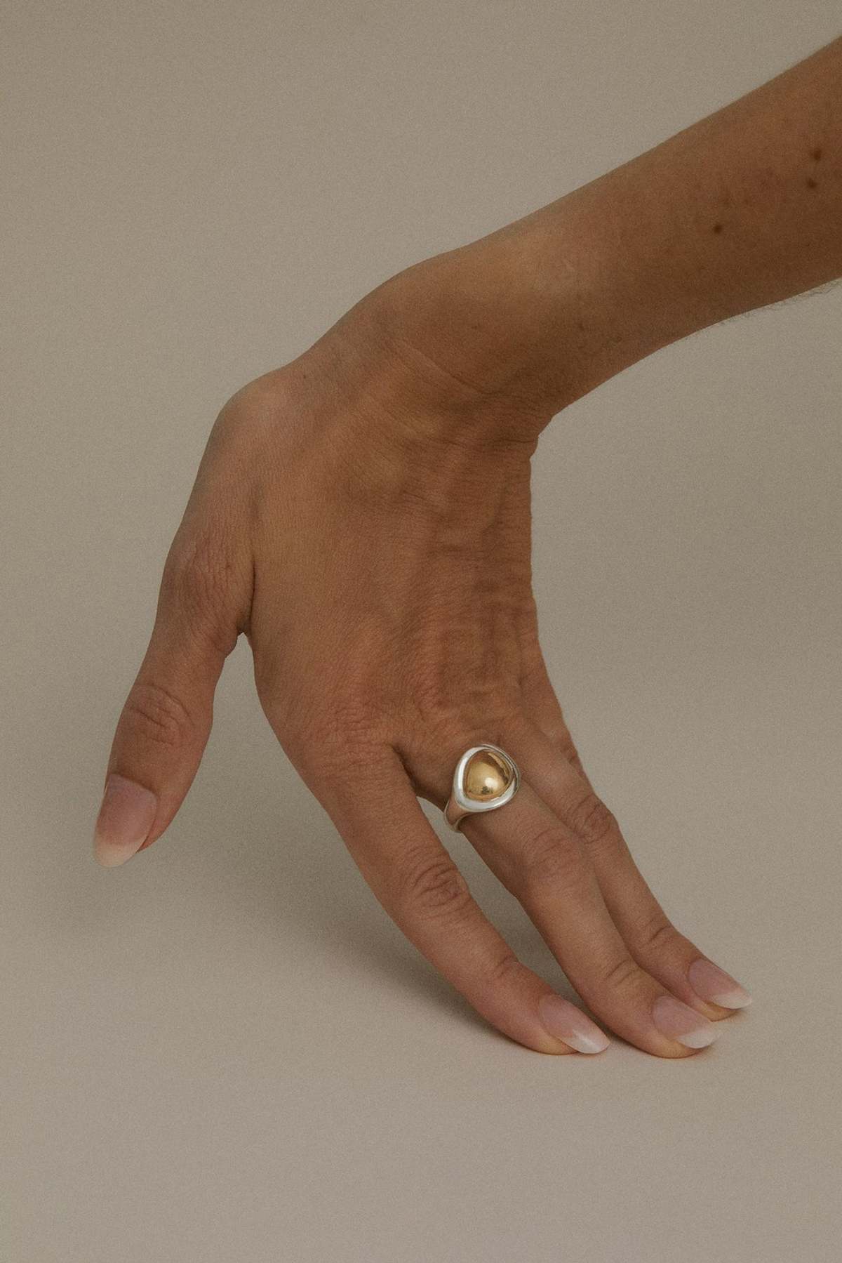 Hernán Herdez Domo Ring - Silver/Gold | Garmentory