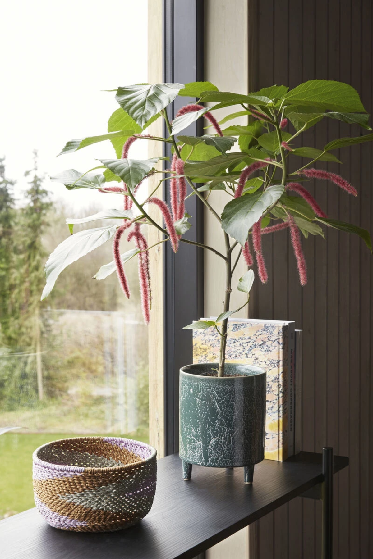 Dark Green Stand Pots- 2 Sizes Available | Garmentory