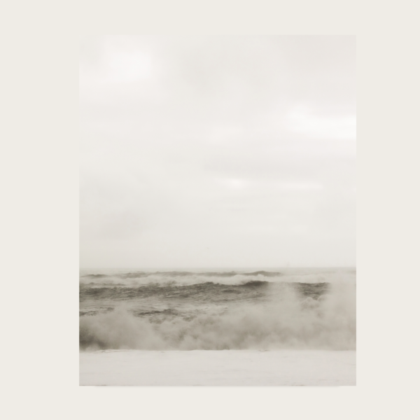 Tara Hogan | Garmentory