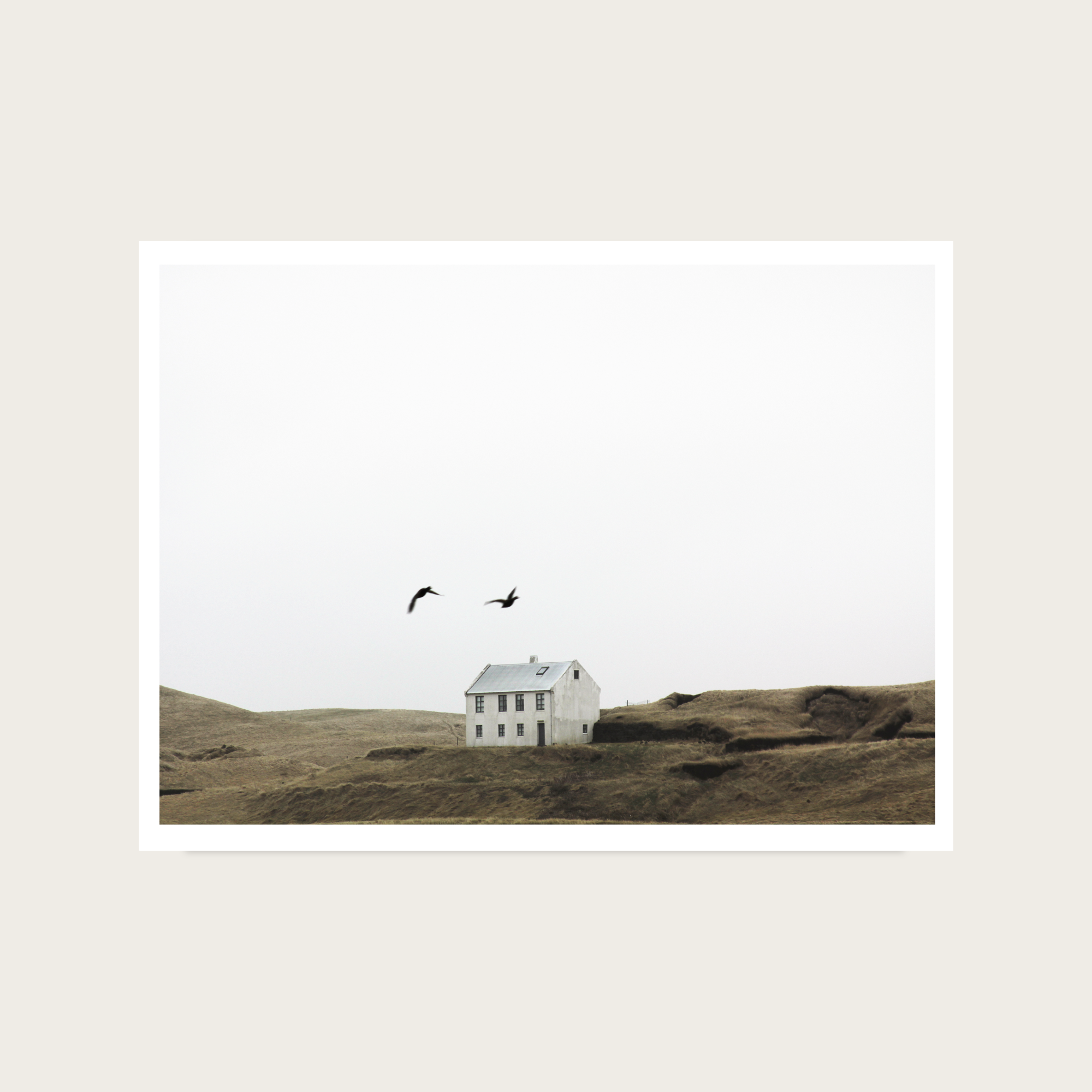 Tara Hogan White House With Birds Framed 16 x 20 art | Garmentory