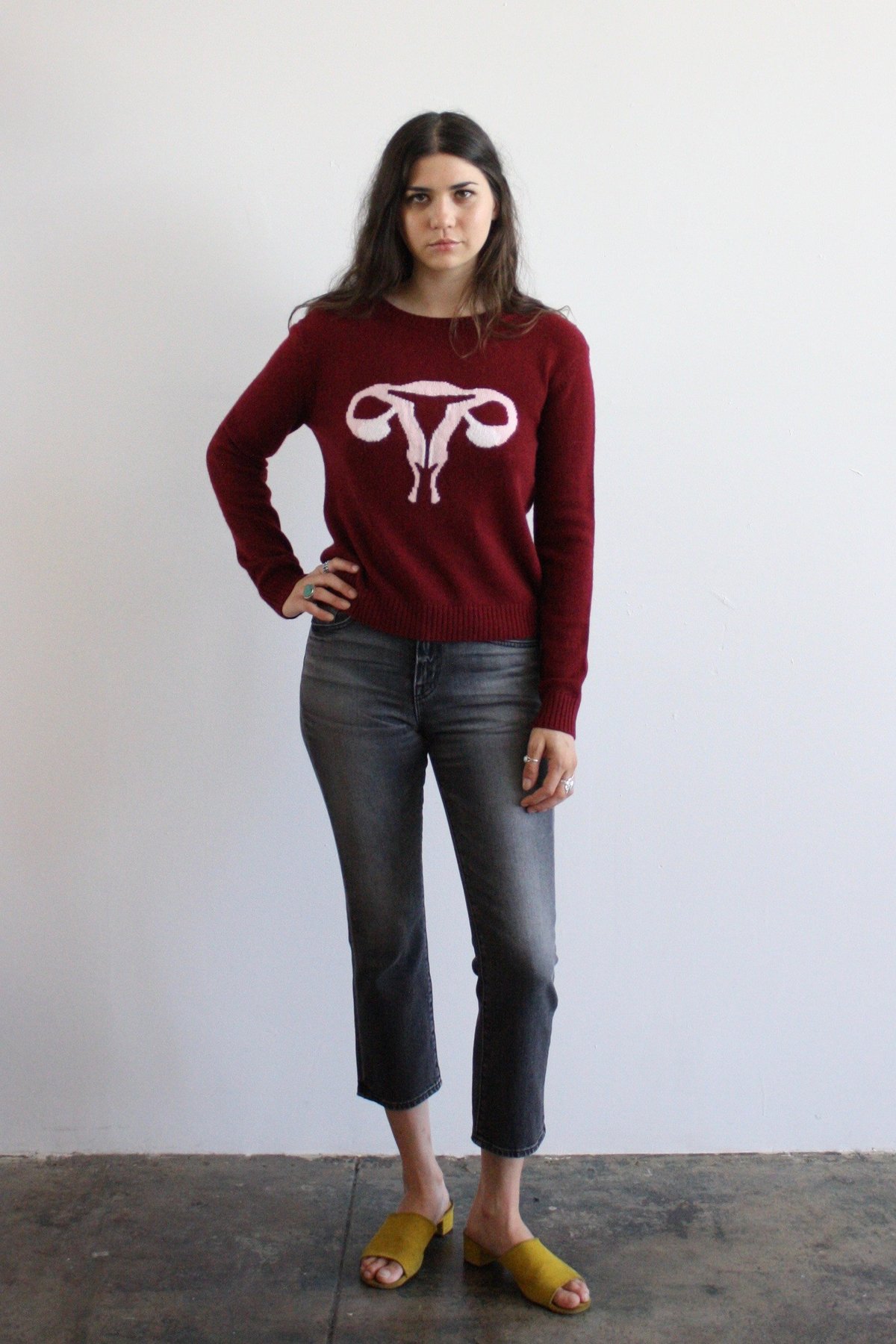 Rachel Antonoff Randy's Reproductive Sweater | Garmentory