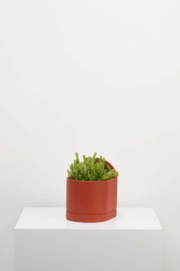 Capra Designs Sol Planter - Multi | Garmentory