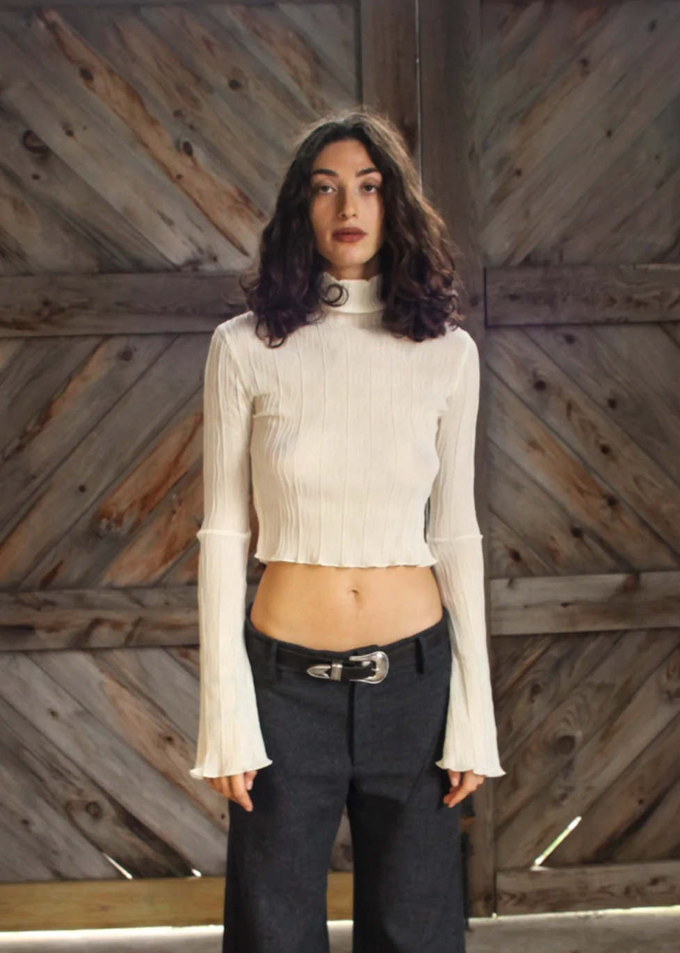 NÉGLIGÉ High Neck Pleated Sheer Blouse | Garmentory