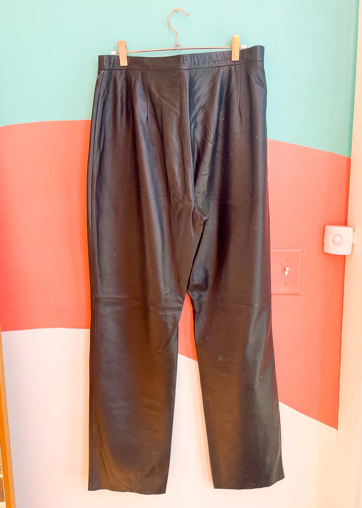 The Haim Sisters Leather Pants | Garmentory