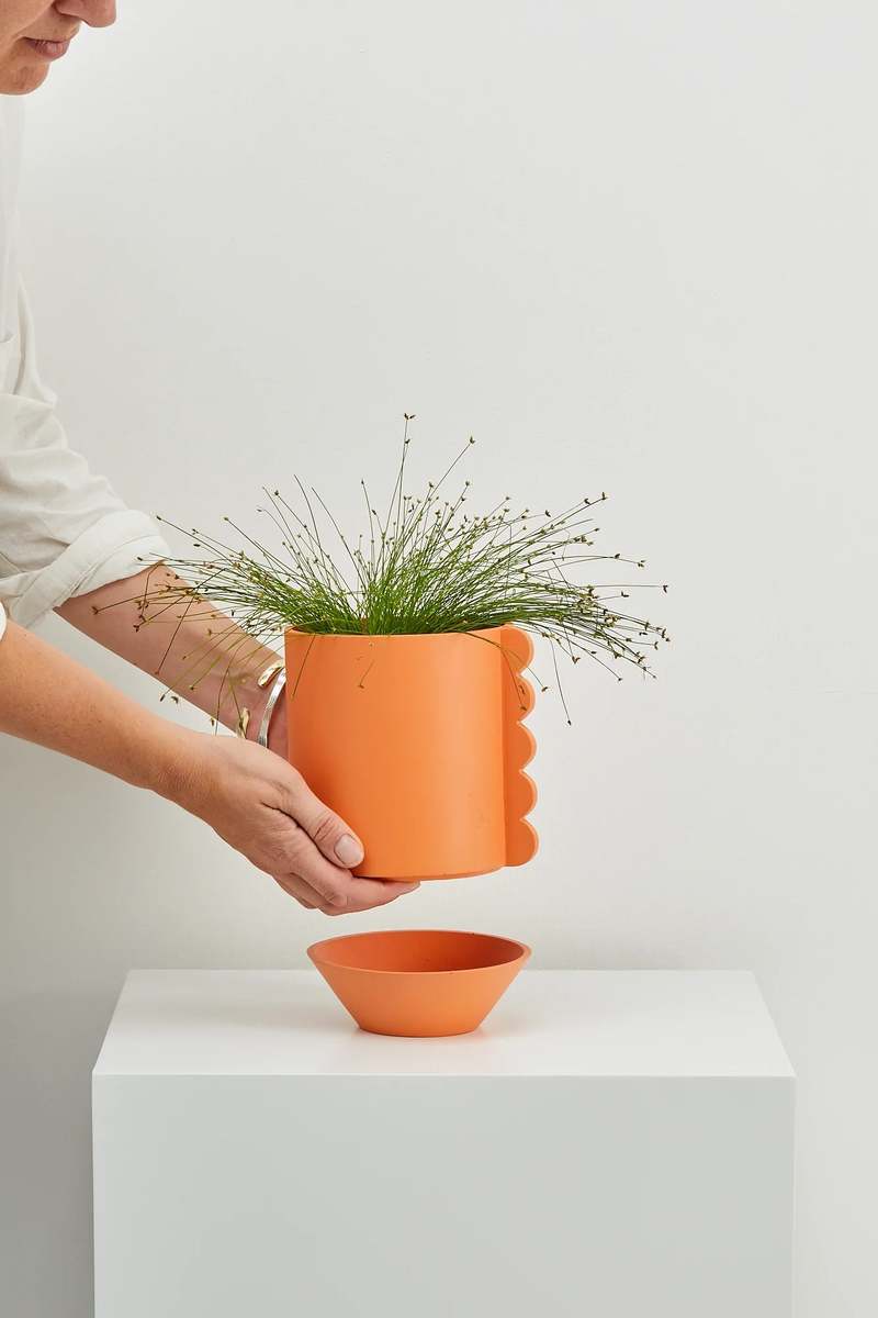 Capra Designs Frill Feature Planter | Garmentory