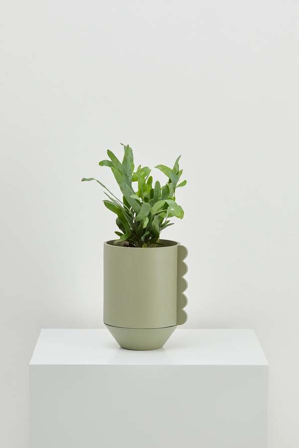 Capra Designs Frill Feature Planter | Garmentory