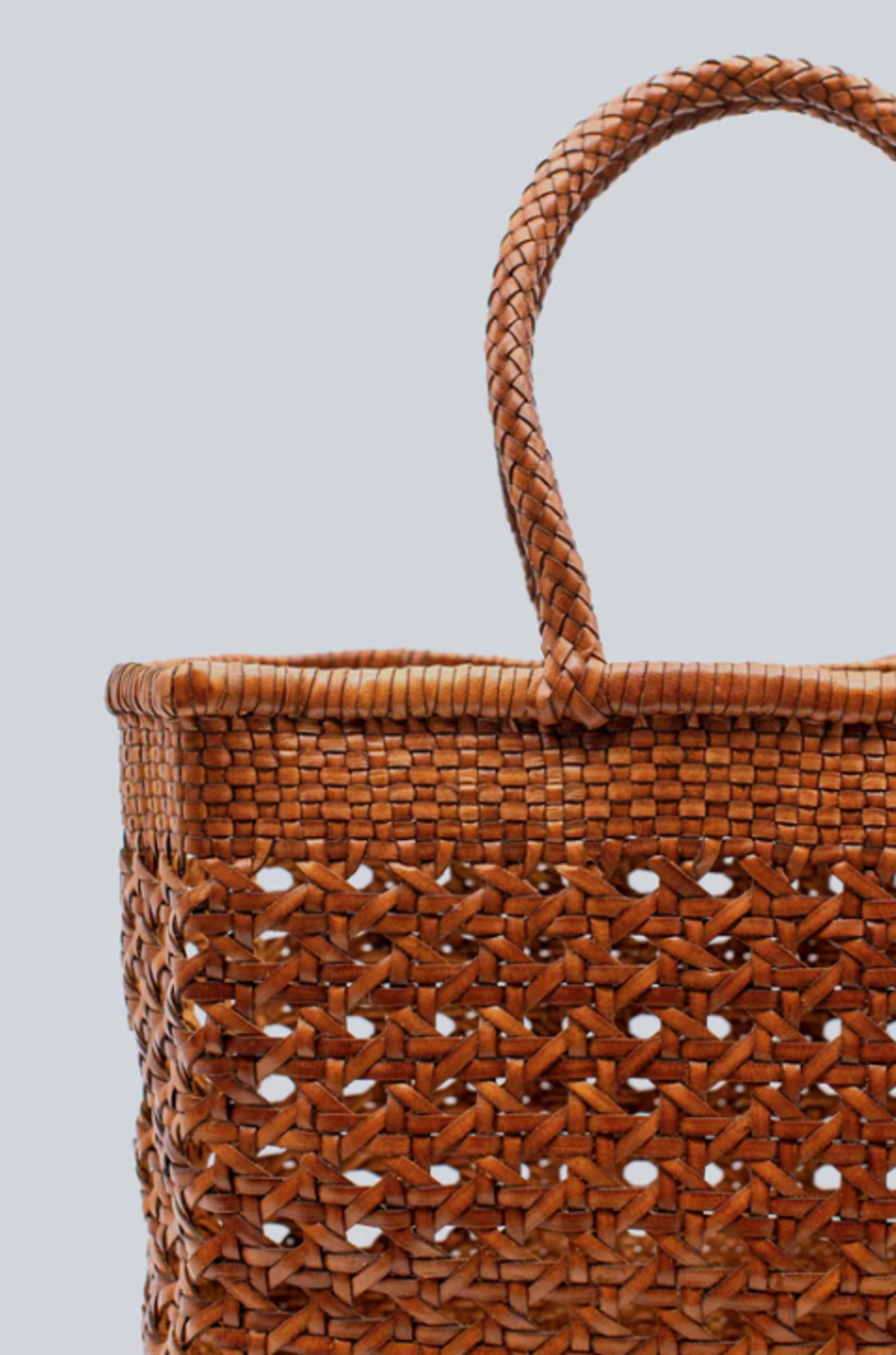 Dragon Diffusion Cannage Max | Garmentory