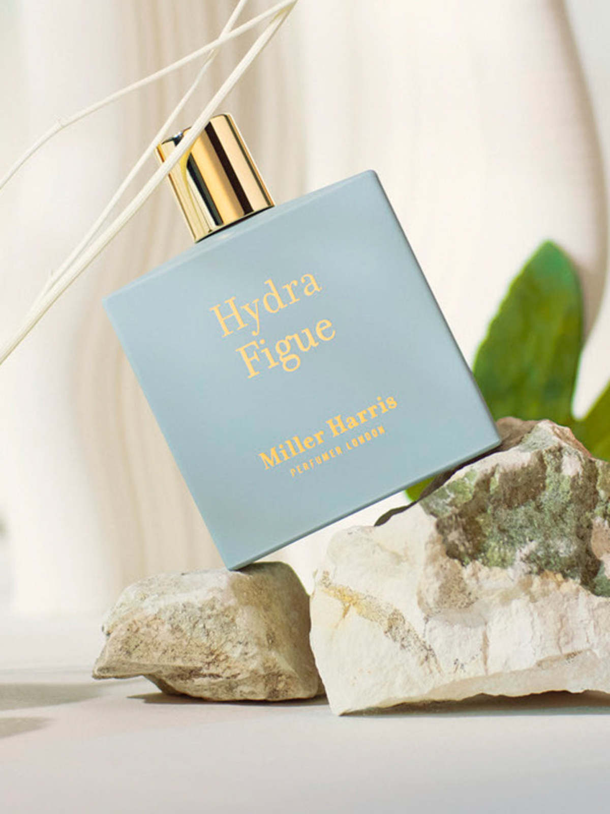 Miller Harris Hydra Figue 100ml Parfum | Garmentory