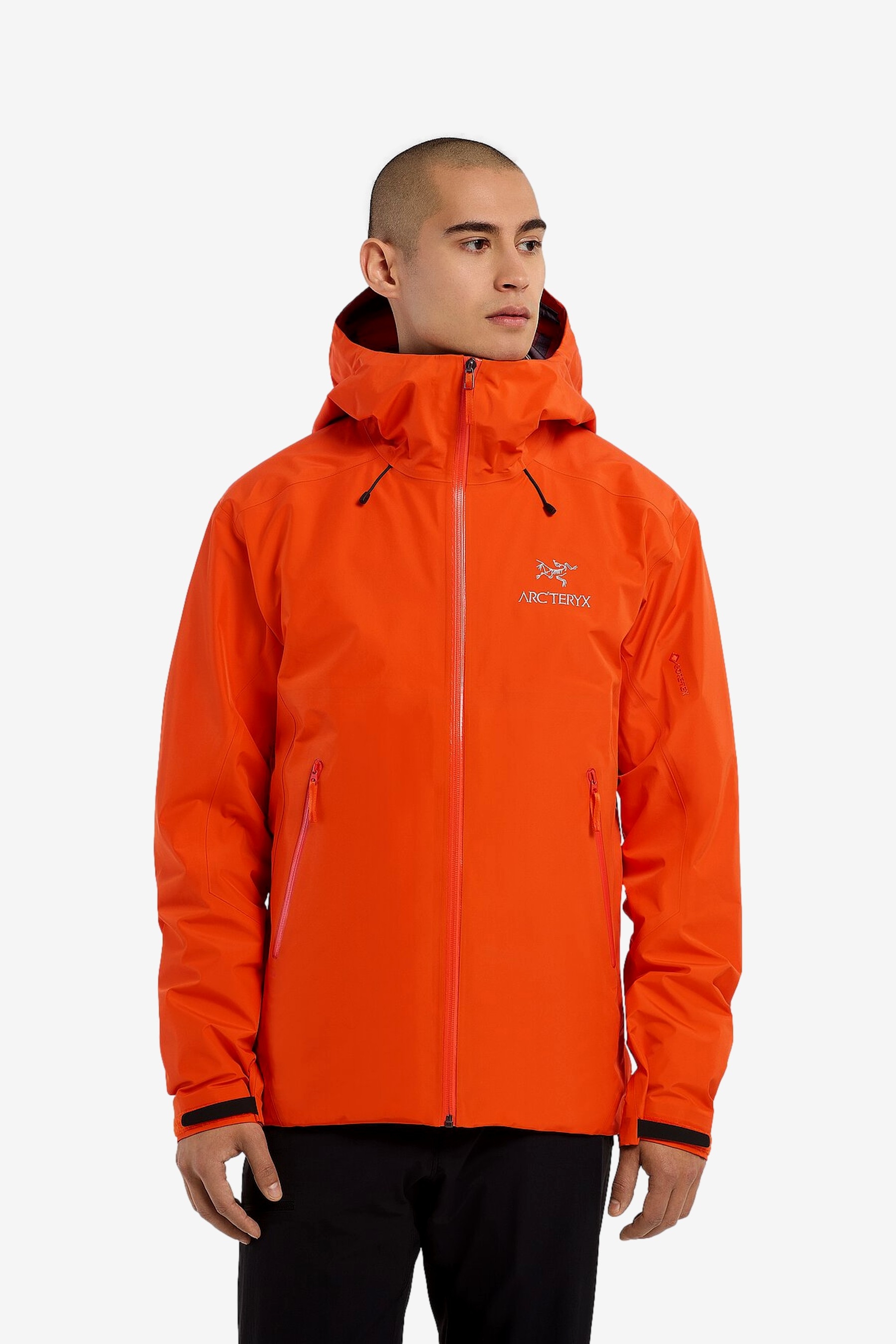 Arc'teryx Beta LT Jacket - Phenom | Garmentory