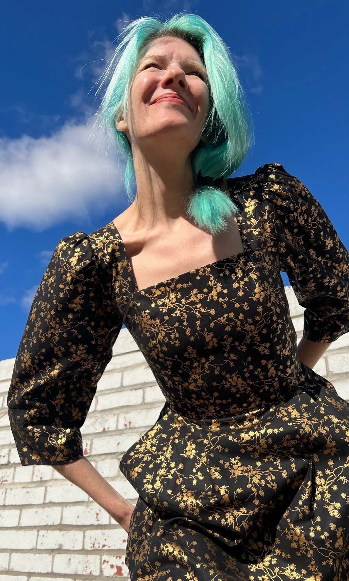 Birds of North America Helldiver Dress - Eternal Midnight | Garmentory