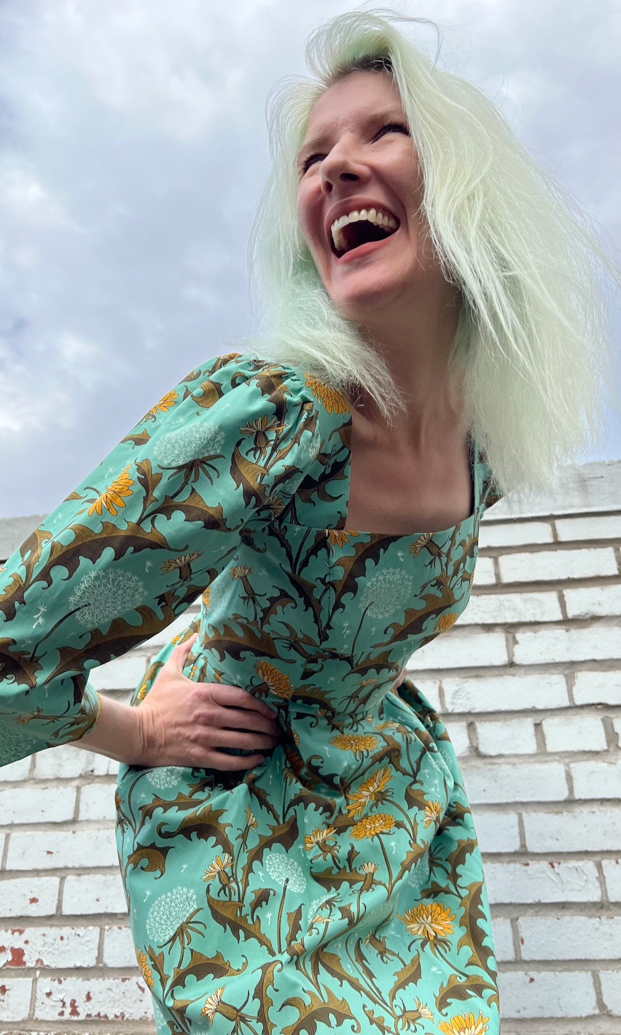 Birds of North America Helldiver Dress - Pissenlit | Garmentory